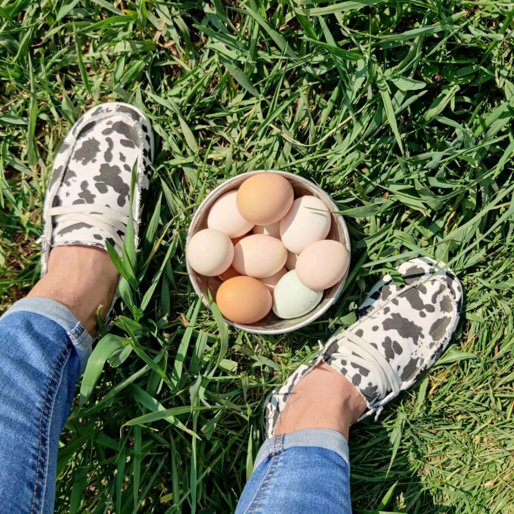 20 Must-Have Items for Your Camper - Crazy Cow Family